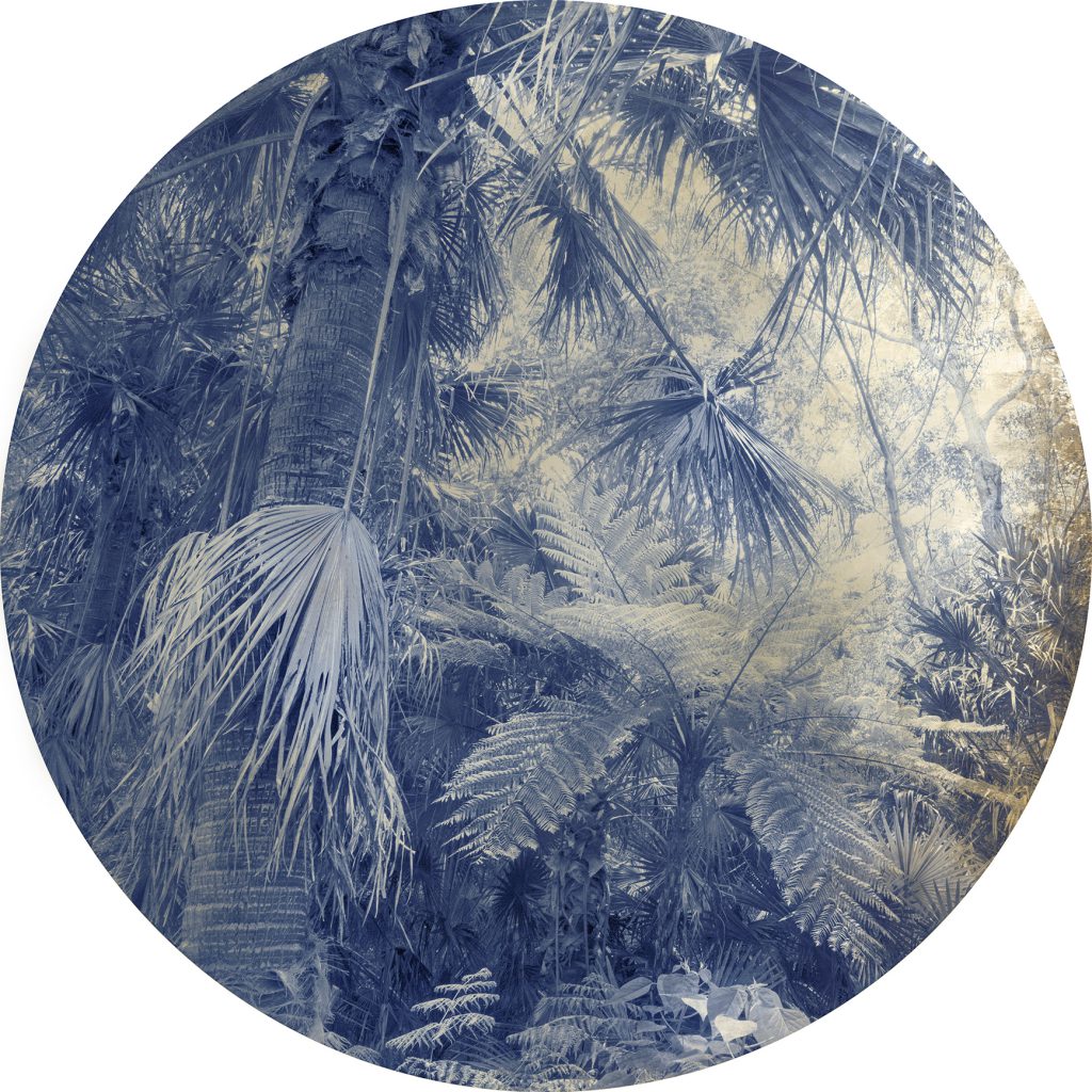 Gavin Hipkins, Jin Jiangbo, Danie Mellor | Beyond Landscape | STARKWHITE